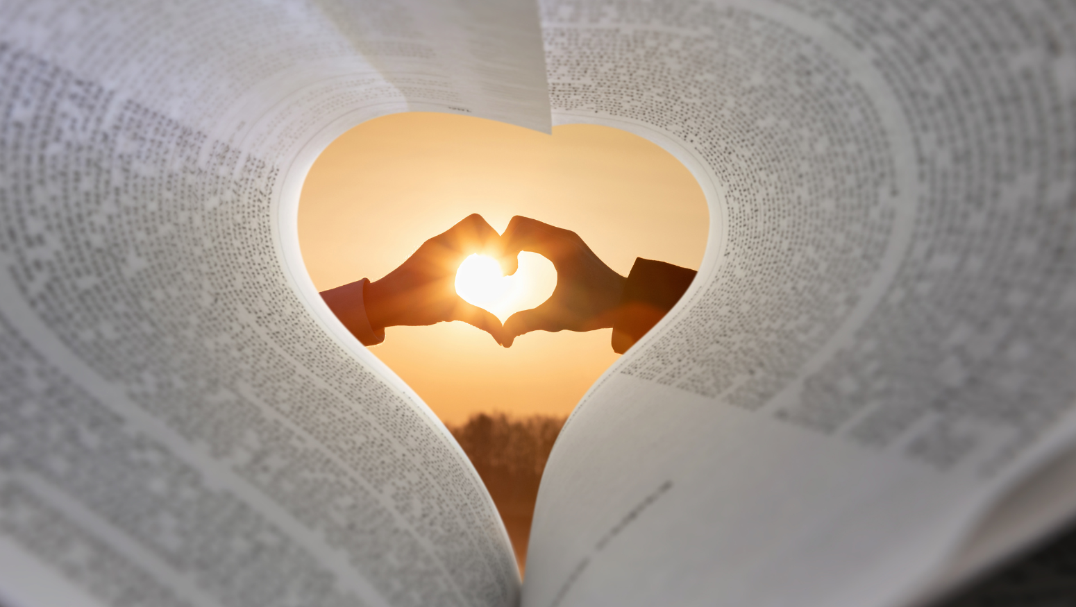 In Conversation With The Gottman Institute | Florence Guild